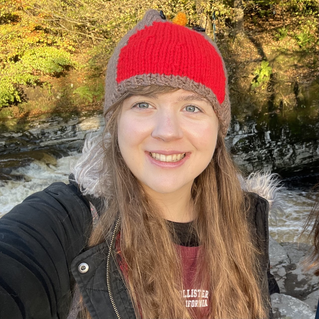 Forecasting crop pest migrations to improve control efficiency – GCRF ...